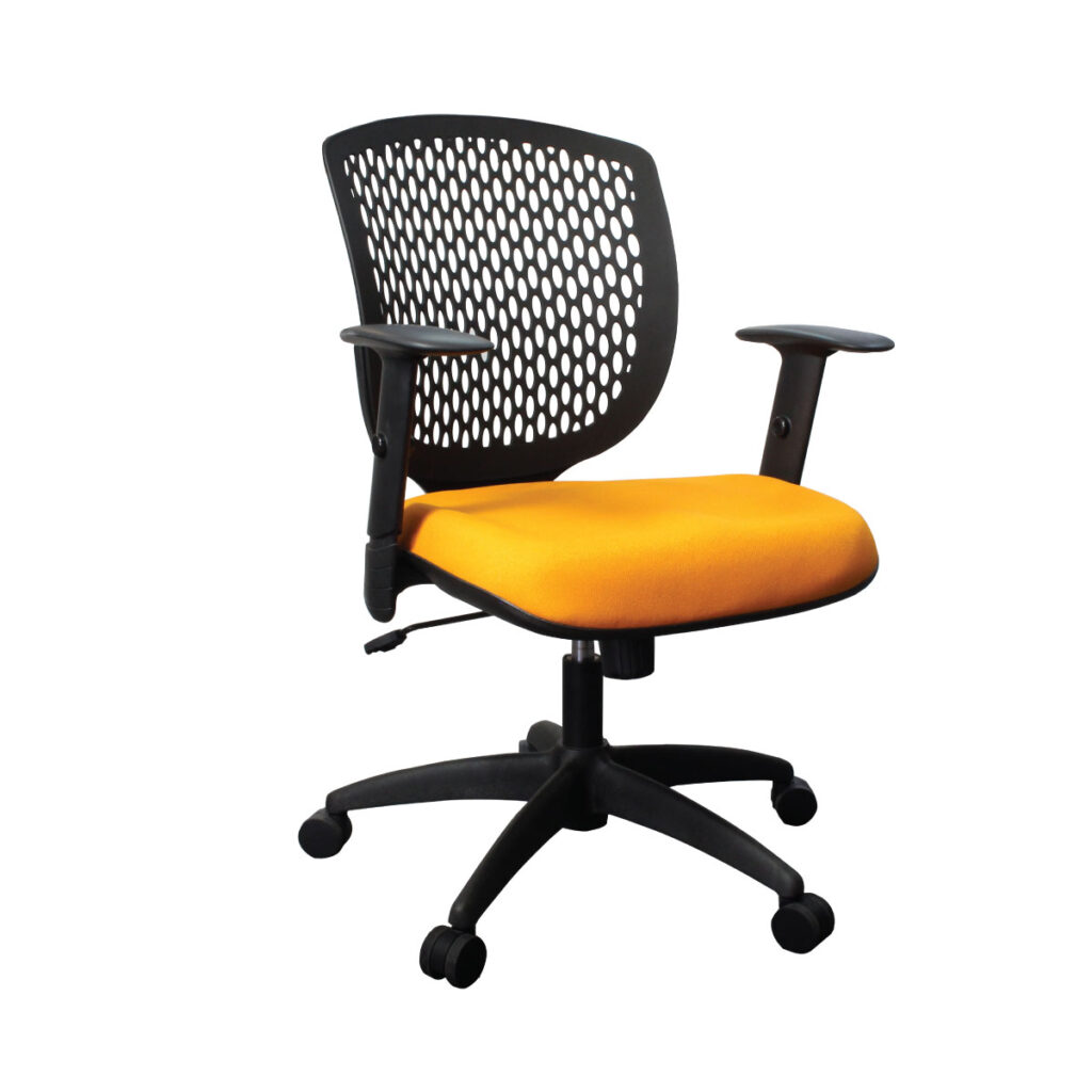 ZOOM – Model Office